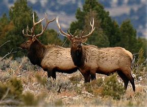 Utah Military and Veterans Benefits | An Official Air Force Benefits Website